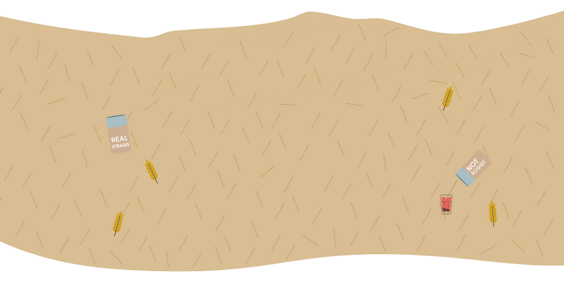 How we started our sustainable straws business | Straw by Straw ...